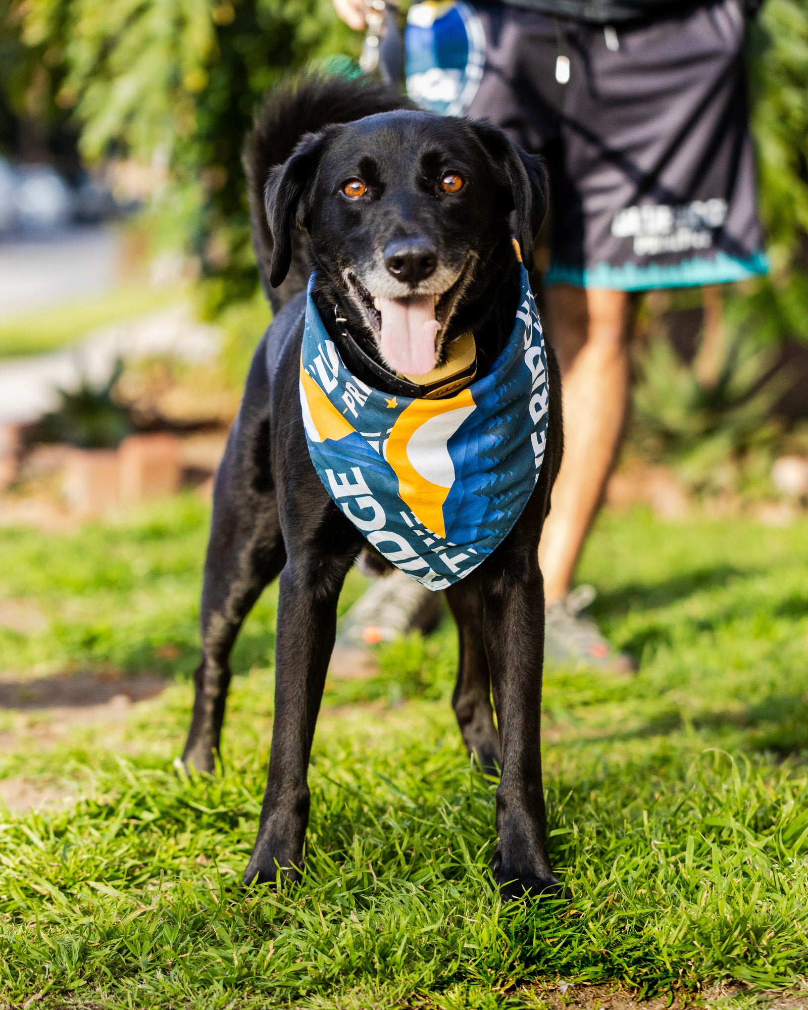 Blue Ridge Primitive - Appalachian Clothing Brand