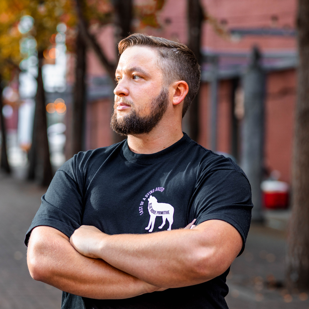 Blue Ridge Primitive Clothing | Wolf Navy Tee | Shop Online